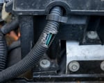 Repel Mice From Your Vehicle With A Simple Solution