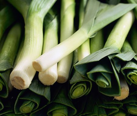 Potato Leek Soup